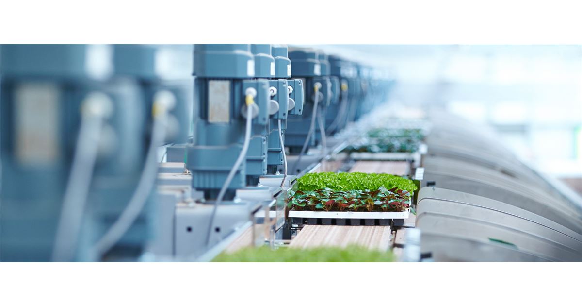 Pressematerial - Volmary - Die Pflanzenprofis