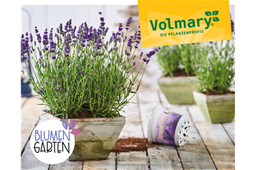 Pressematerial - Volmary - Die Pflanzenprofis
