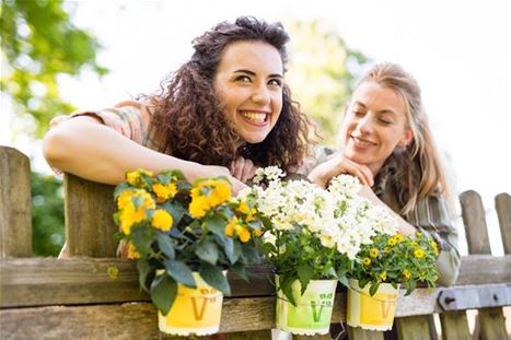 Über uns - Volmary - Die Pflanzenprofis