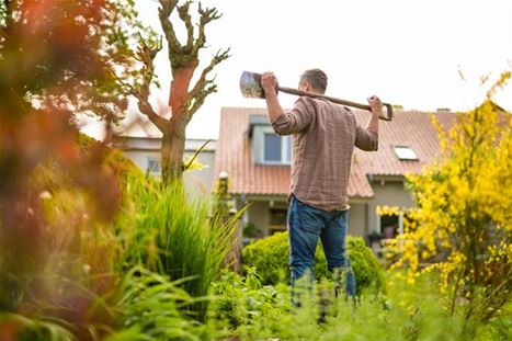 Über uns - Volmary - Die Pflanzenprofis