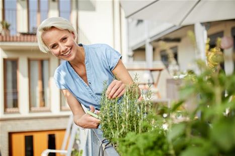 Über uns - Volmary - Die Pflanzenprofis