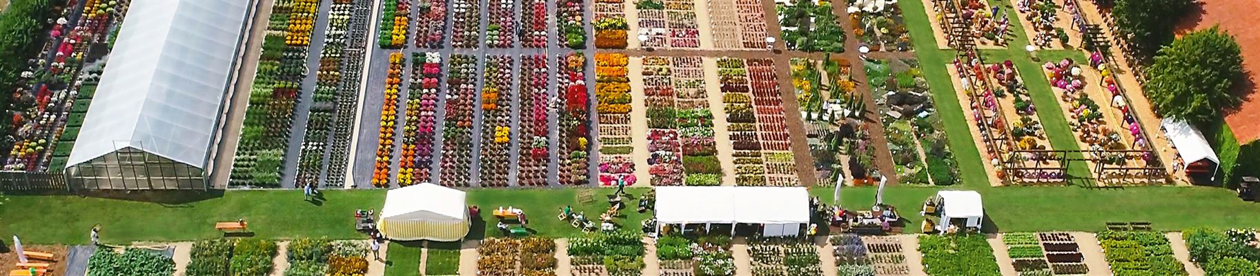 Über uns - Volmary - Die Pflanzenprofis