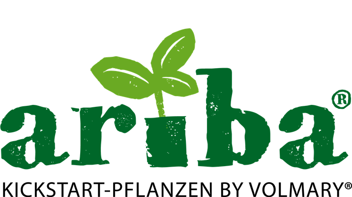 Jungpflanzen - Volmary - Die Pflanzenprofis