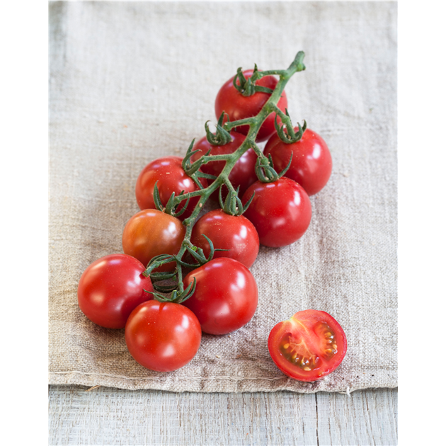 Nektar-Cherry-Tomate 'Solena® Rose' F1, Solanum lycopersicum