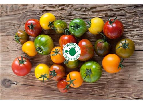 Plant Happy - Volmary - Die Pflanzenprofis