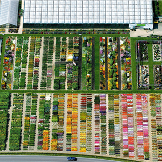 Über uns - Volmary - Die Pflanzenprofis