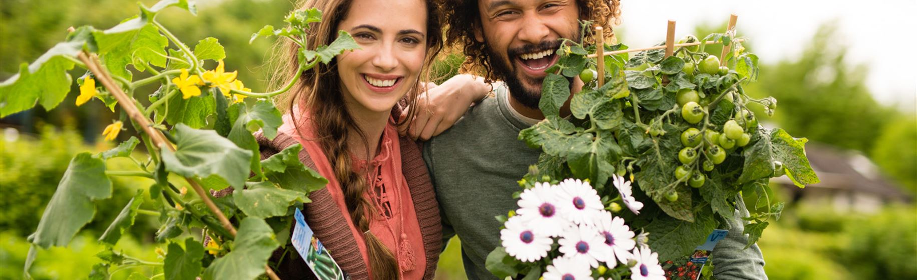 Über uns - Volmary - Die Pflanzenprofis