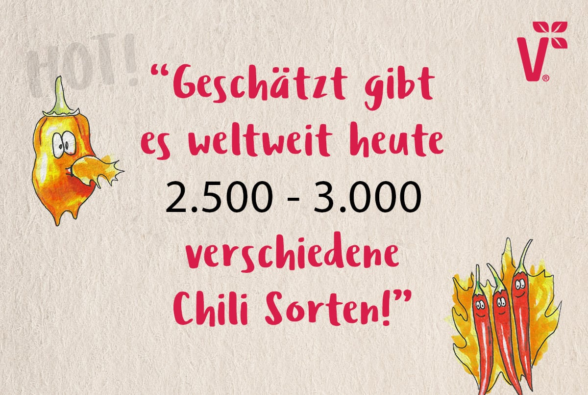 Die 10 häufigsten Fragen zu Chilipflanzen