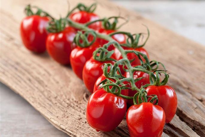 Unsere Top 10 Tomaten für den eigenen Anbau auf Deinem Balkon - Volmary ...