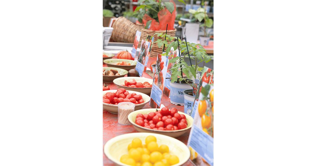 Verkostungen - Volmary - Die Pflanzenprofis